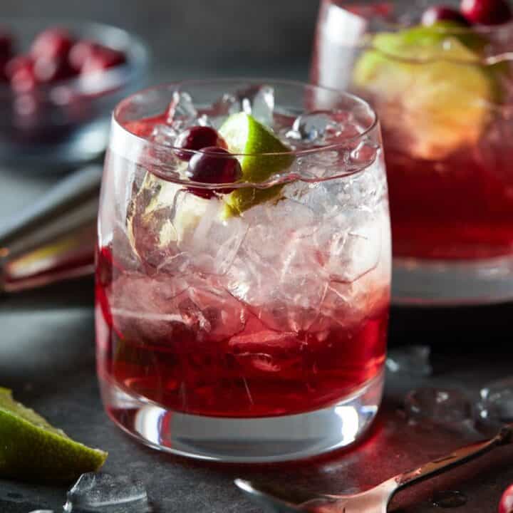 Cape Cod Drink - Garnish with Lemon